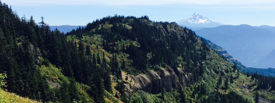 Three Corner Rock PCT 50K – Columbia Gorge Running Club