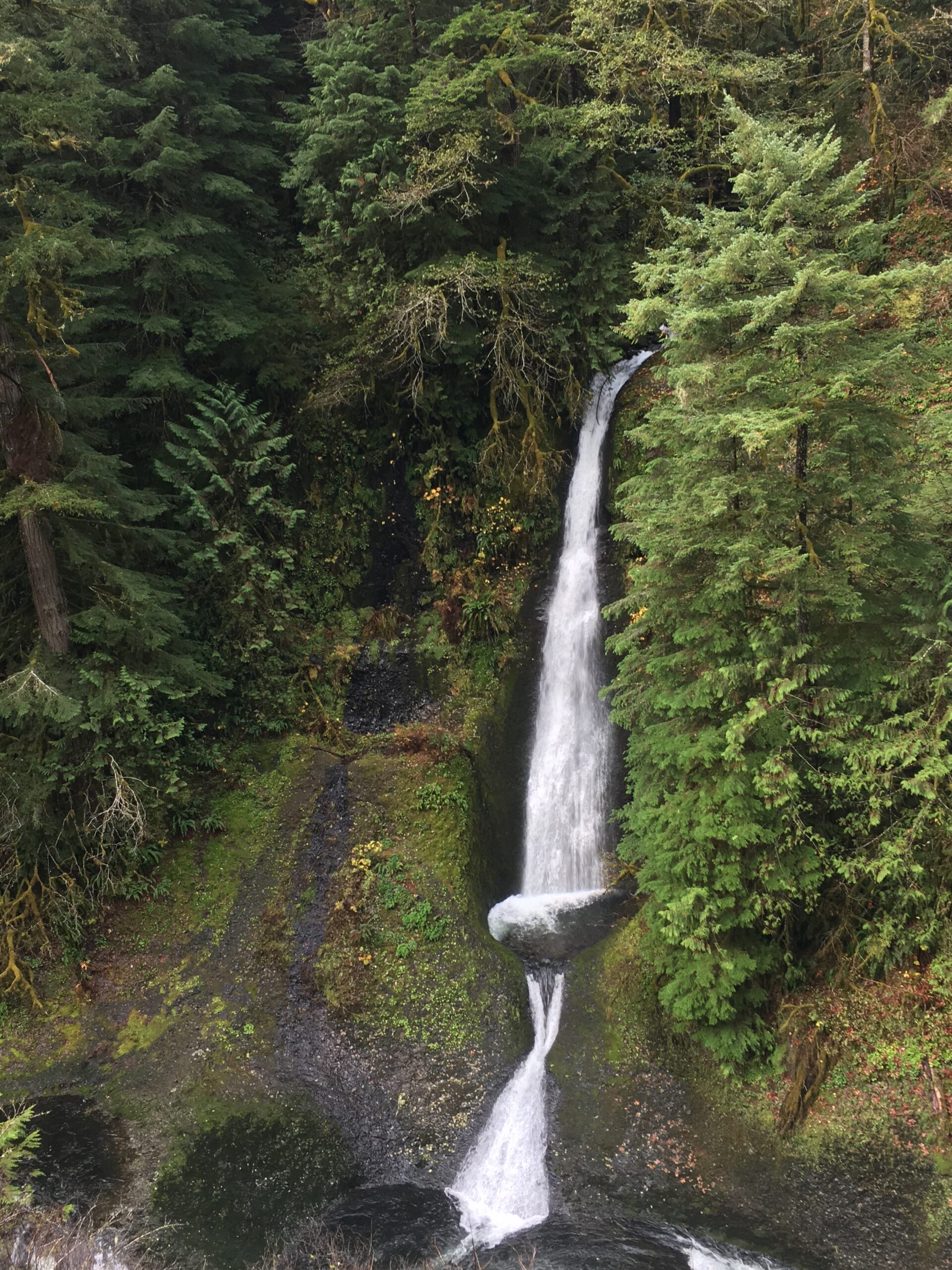 Gorge Runner Stories – Columbia Gorge Running Club