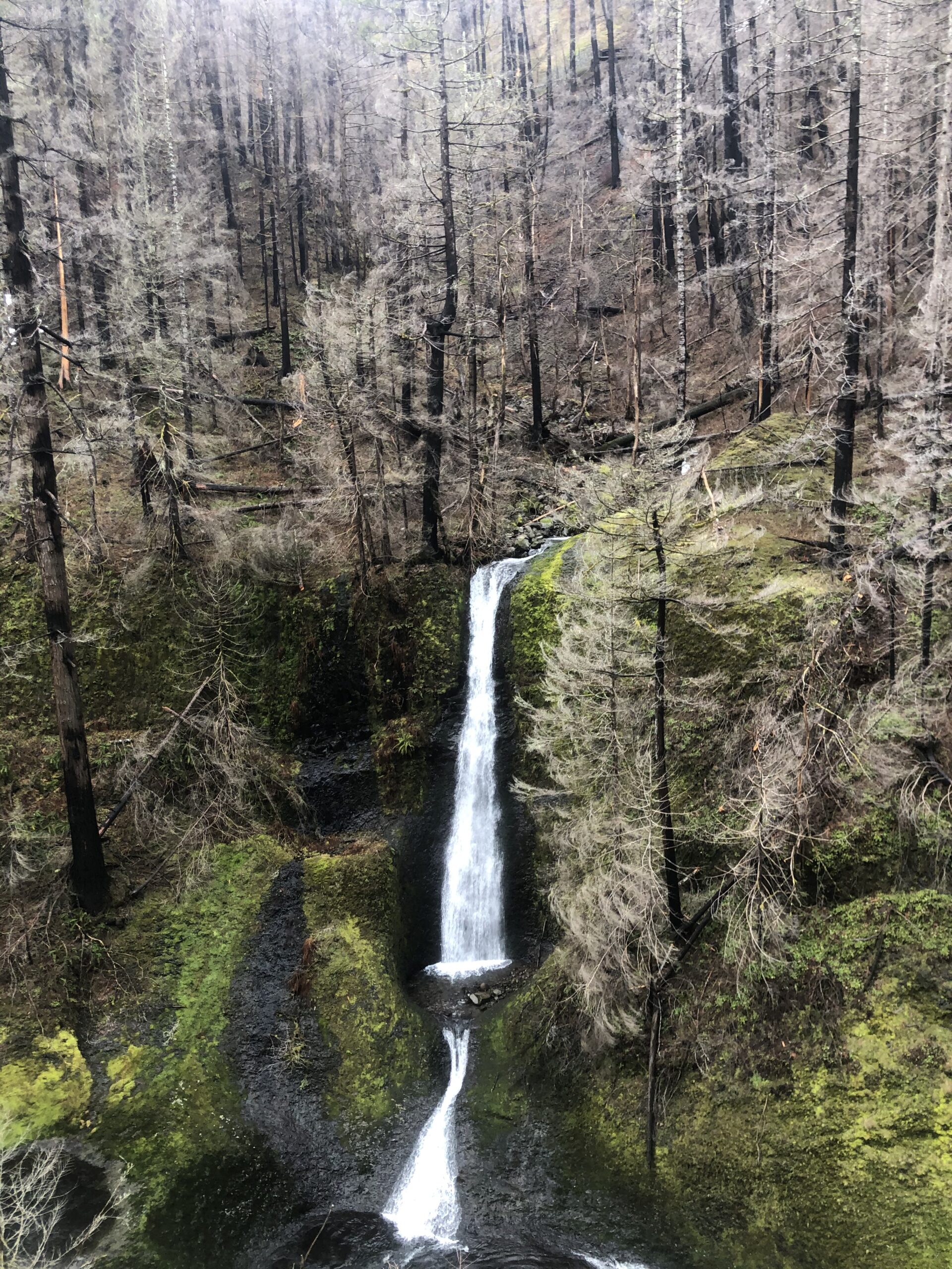 Gorge Runner Stories – Columbia Gorge Running Club